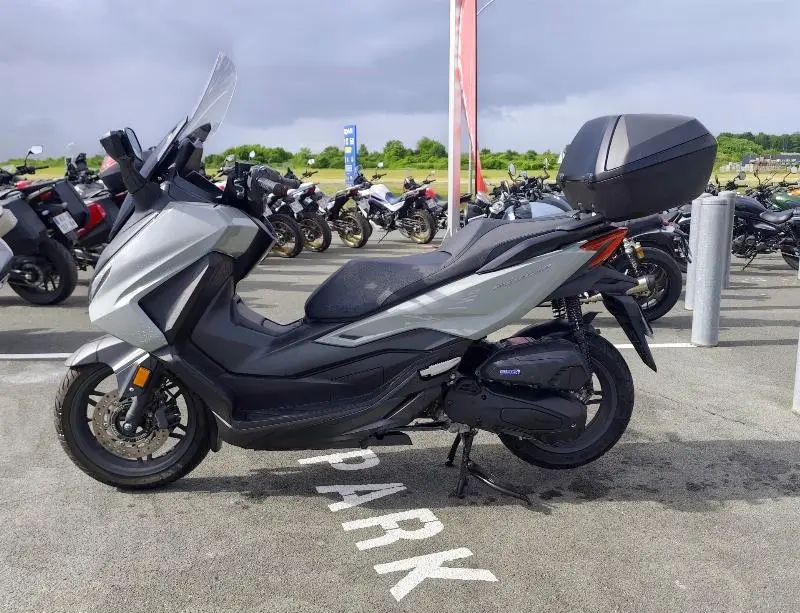 Honda NSS FORZA 125 2024 à 4490€ sur ROYAN