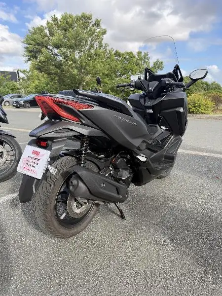 Honda NSS FORZA 125 2024 à 4490€ sur PUILBOREAU